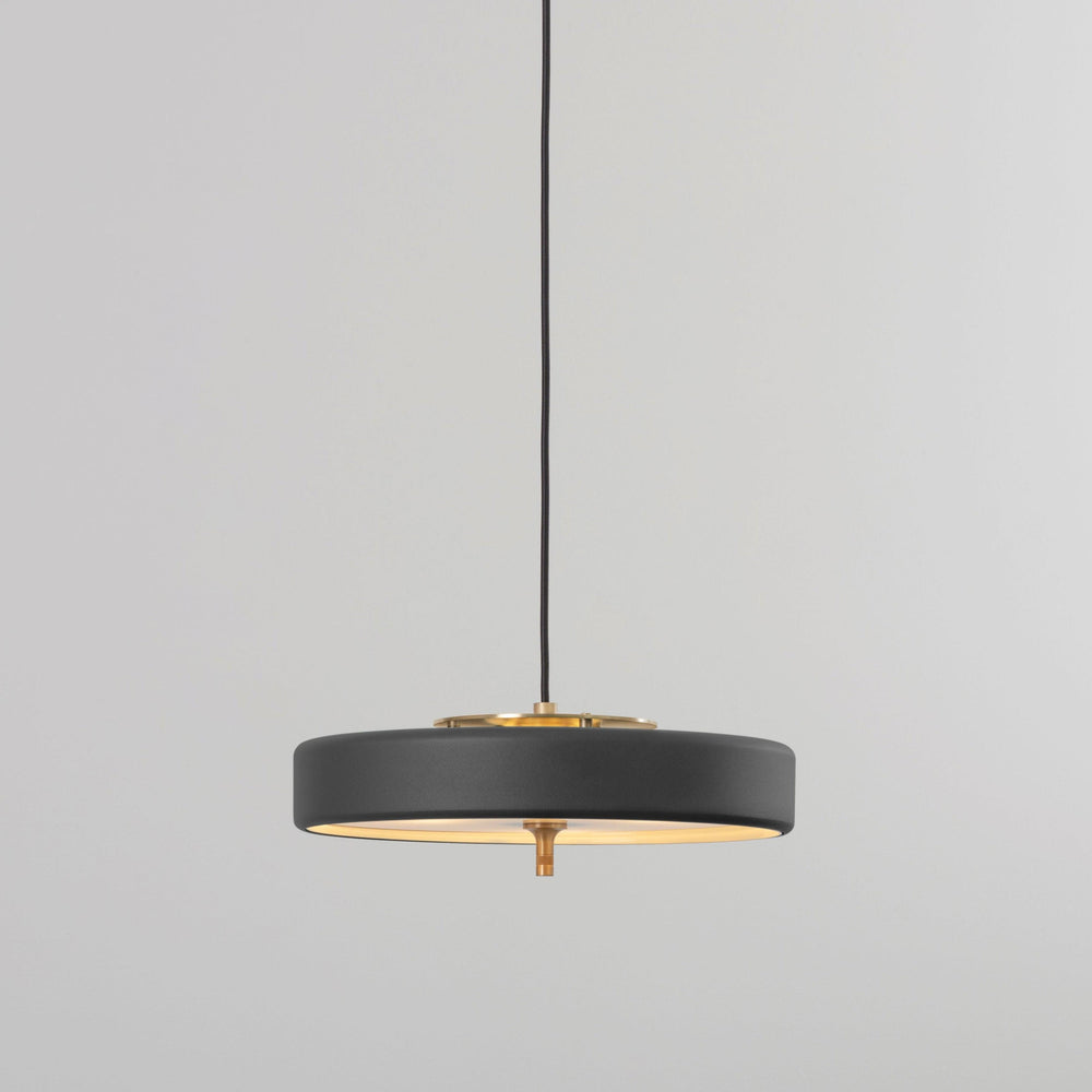 Bert Frank Revolve Pendant Light