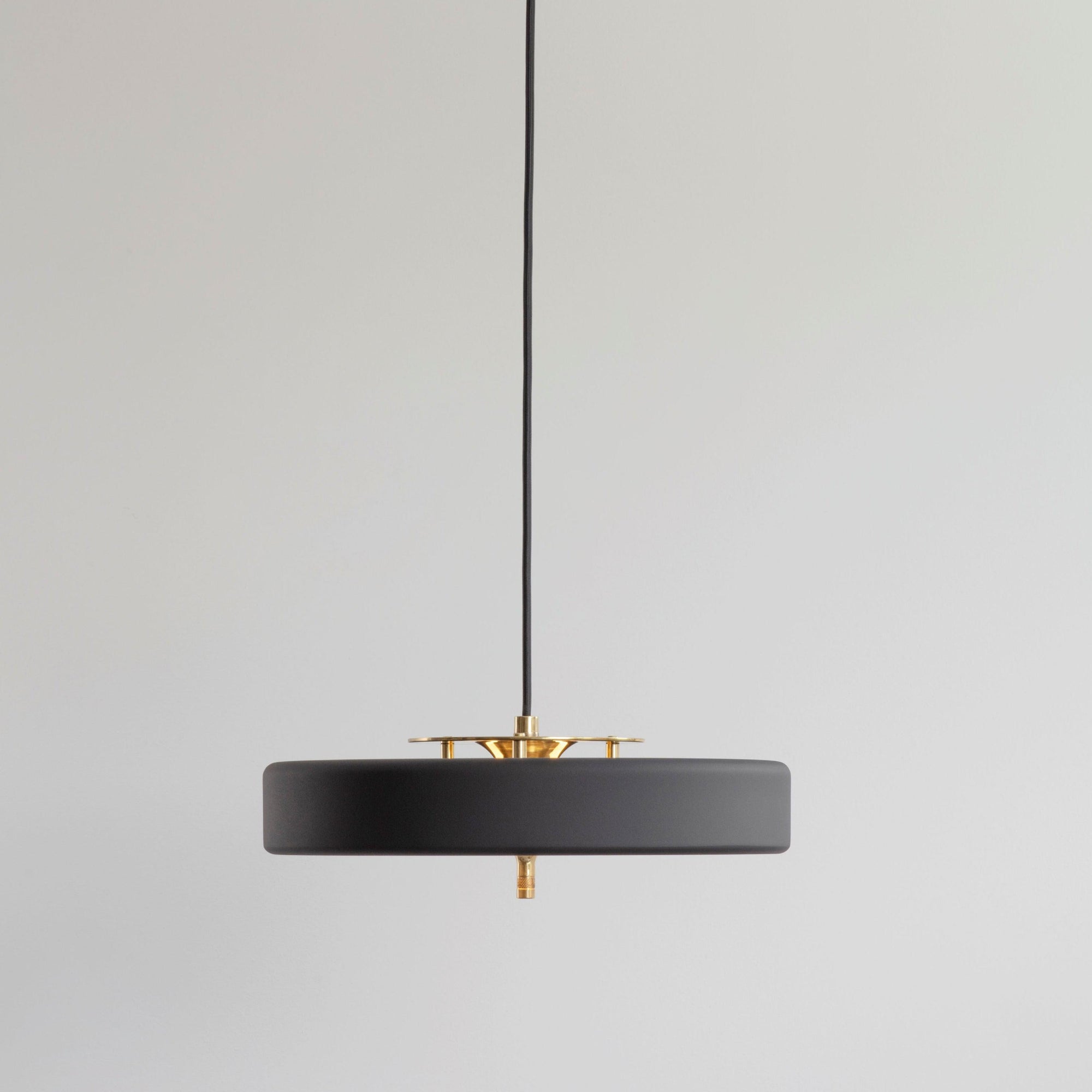 Bert Frank Revolve Pendant Light