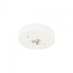 Bocci 87.3 Random Pendant Light | Inspyer Lighting