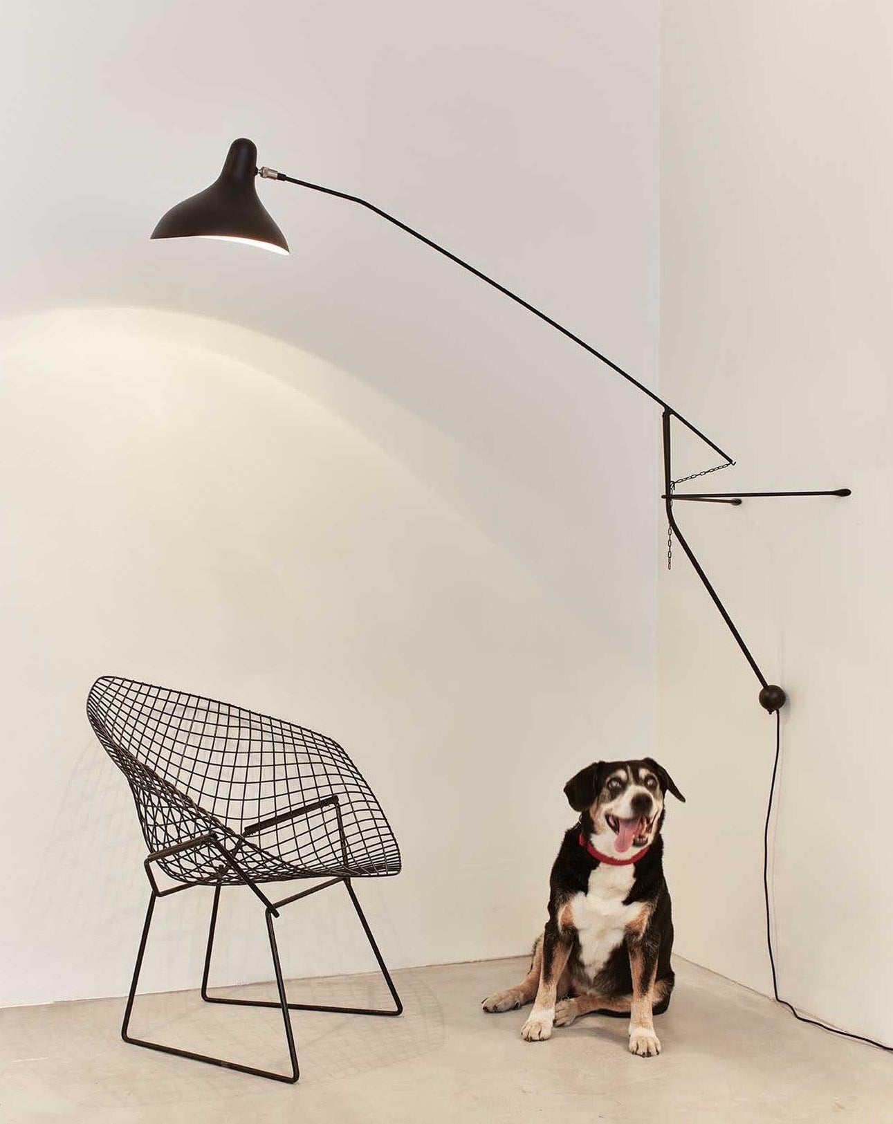 DCW Editions Mantis BS2 Wall Light | Inspyer Lighting