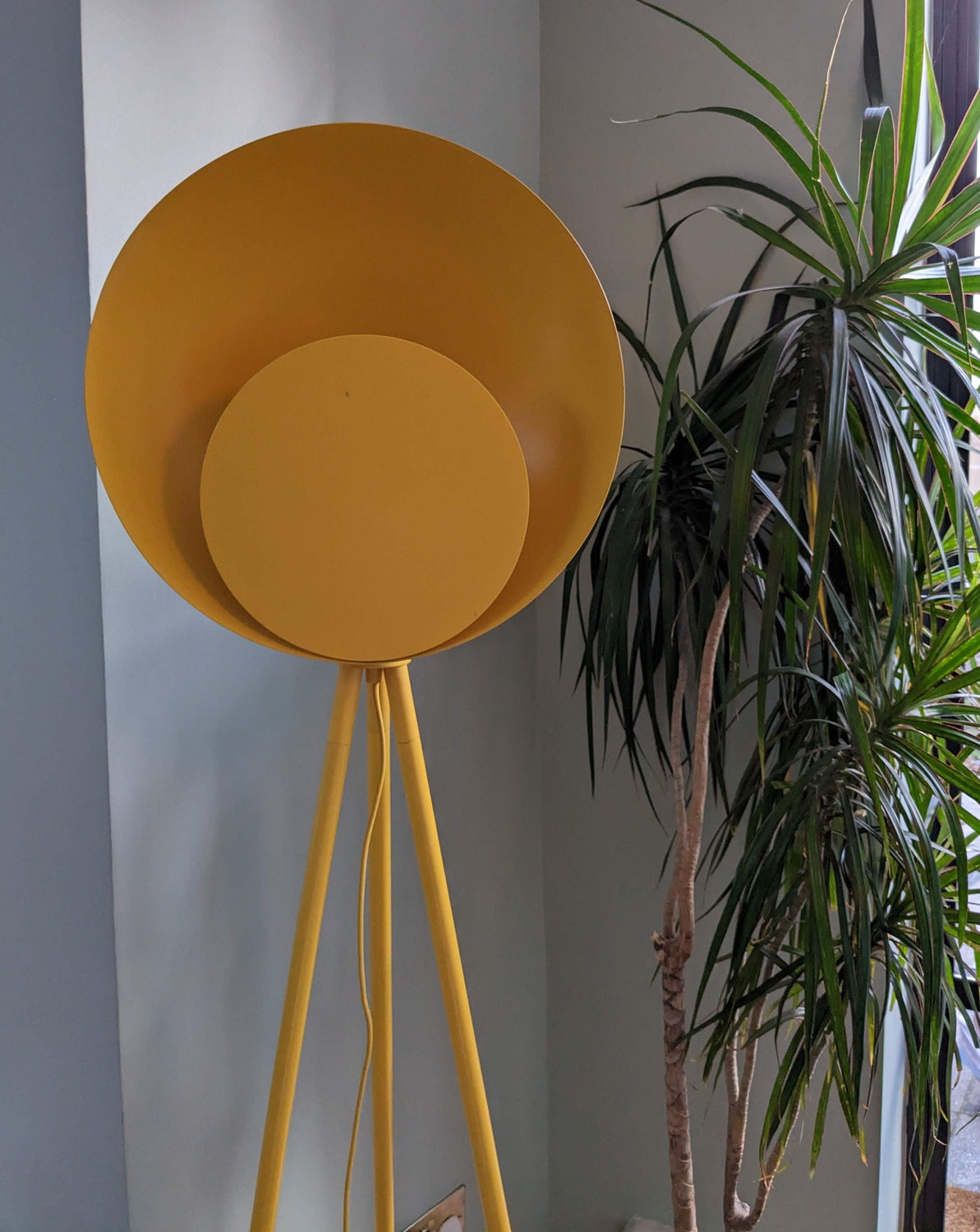 Houseof Diffuser Floor Lamp | Inspyer Lighting