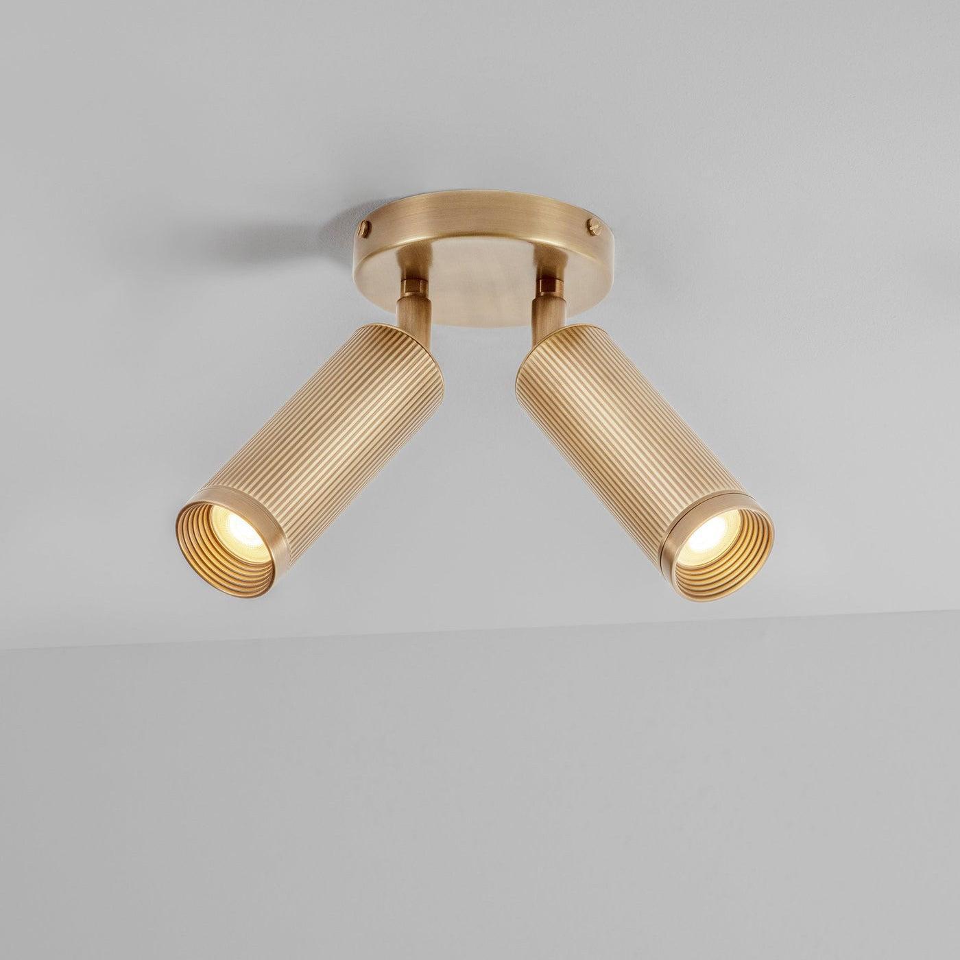 J. Adams & Co Spot Ceiling Light