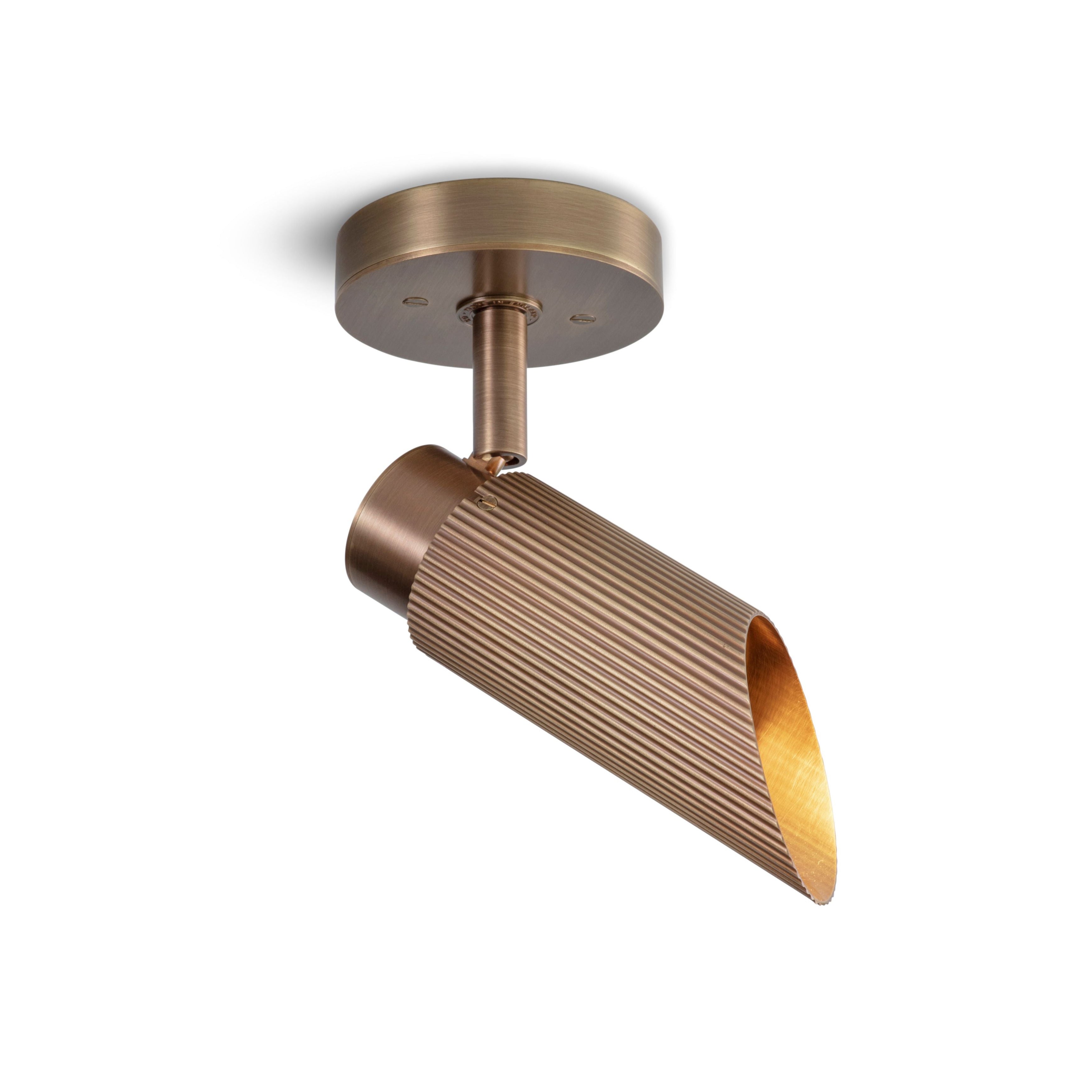 J. Adams & Co Spot Pro Ceiling / Wall Light | Inspyer Lighting