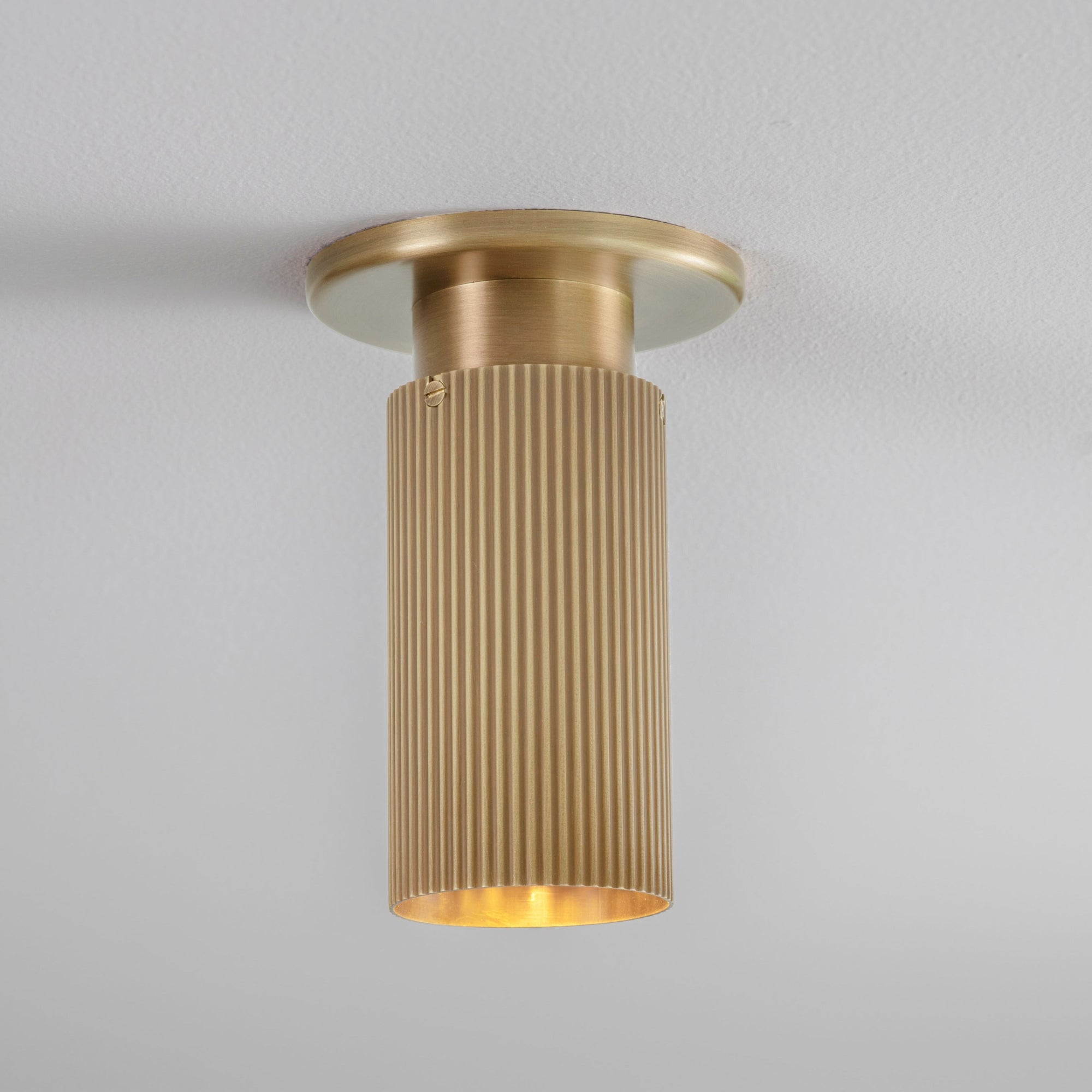 J. Adams & Co Spot Pro Downlight