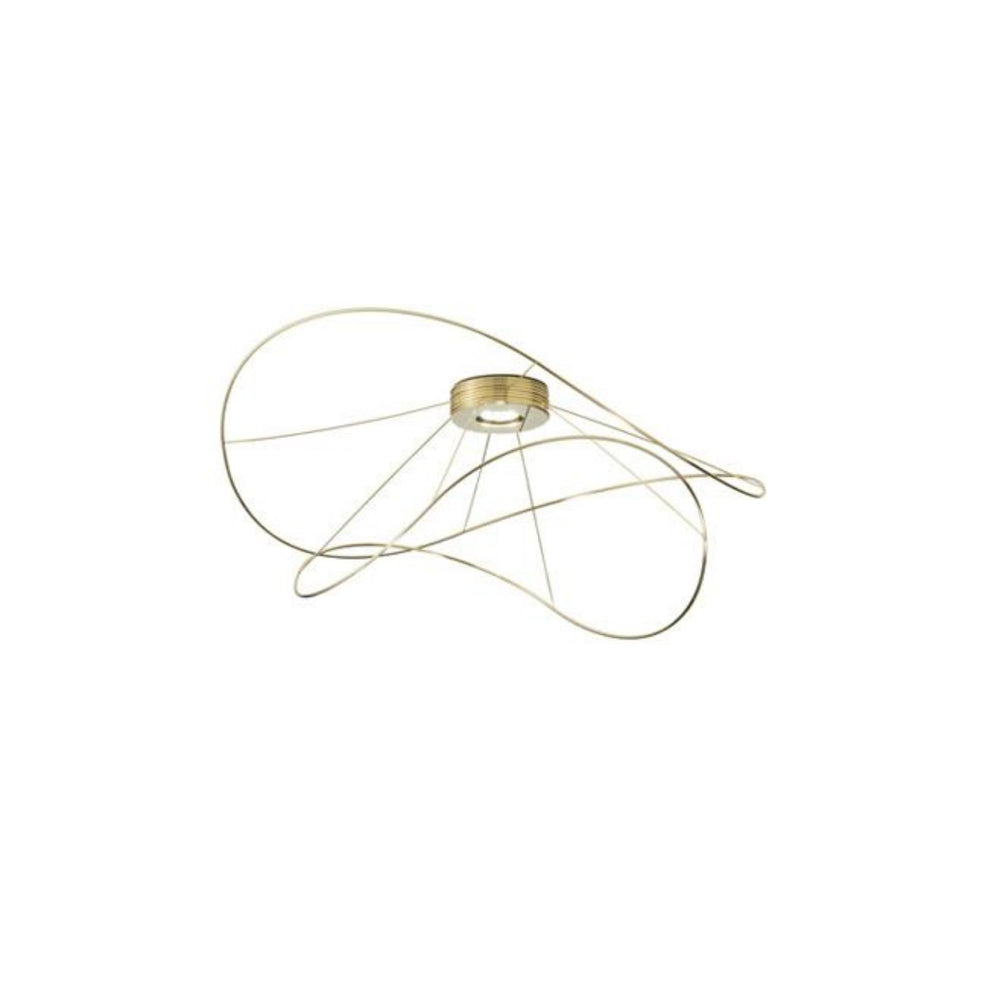 AxoLight Hoops Ceiling Light | Inspyer Lighting