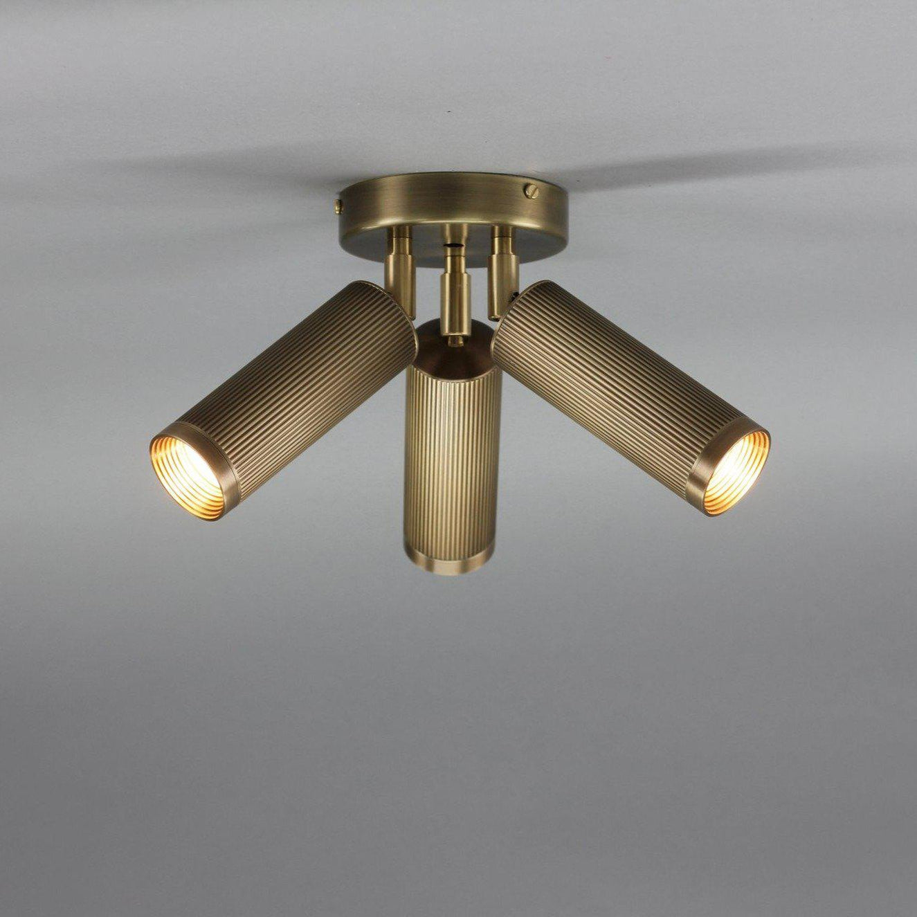 J. Adams & Co Spot Ceiling Light | Inspyer Lighting