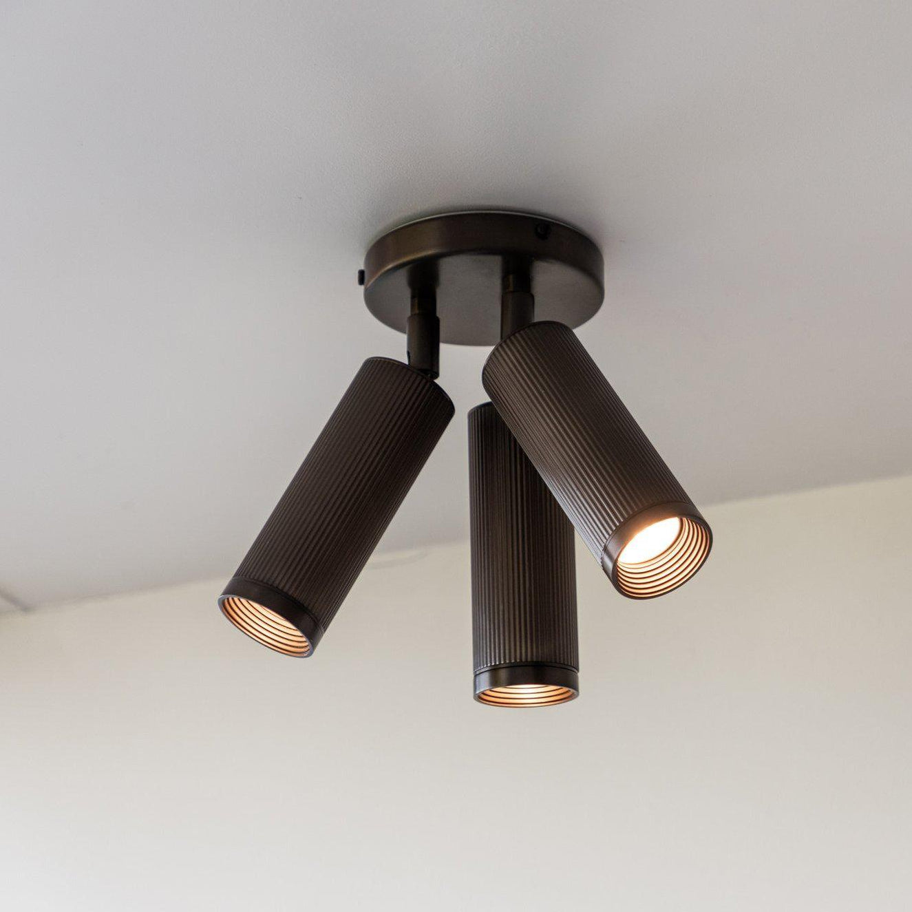 J. Adams & Co Spot Ceiling Light | Inspyer Lighting