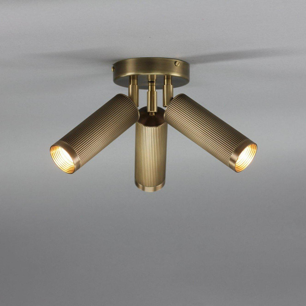 J. Adams & Co Spot Ceiling Light