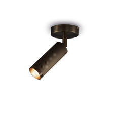 J. Adams & Co Spot Ceiling Light | Inspyer Lighting