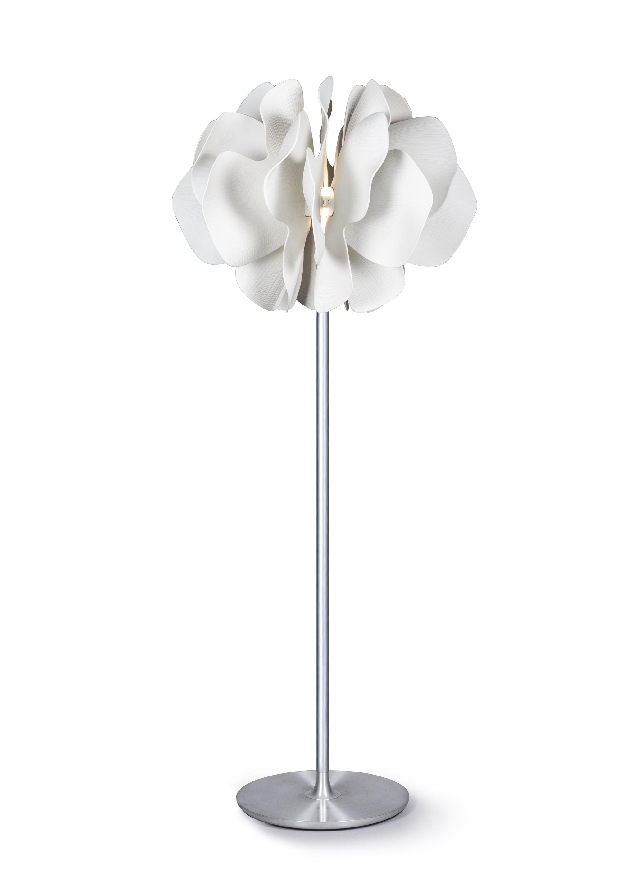 LLadro
