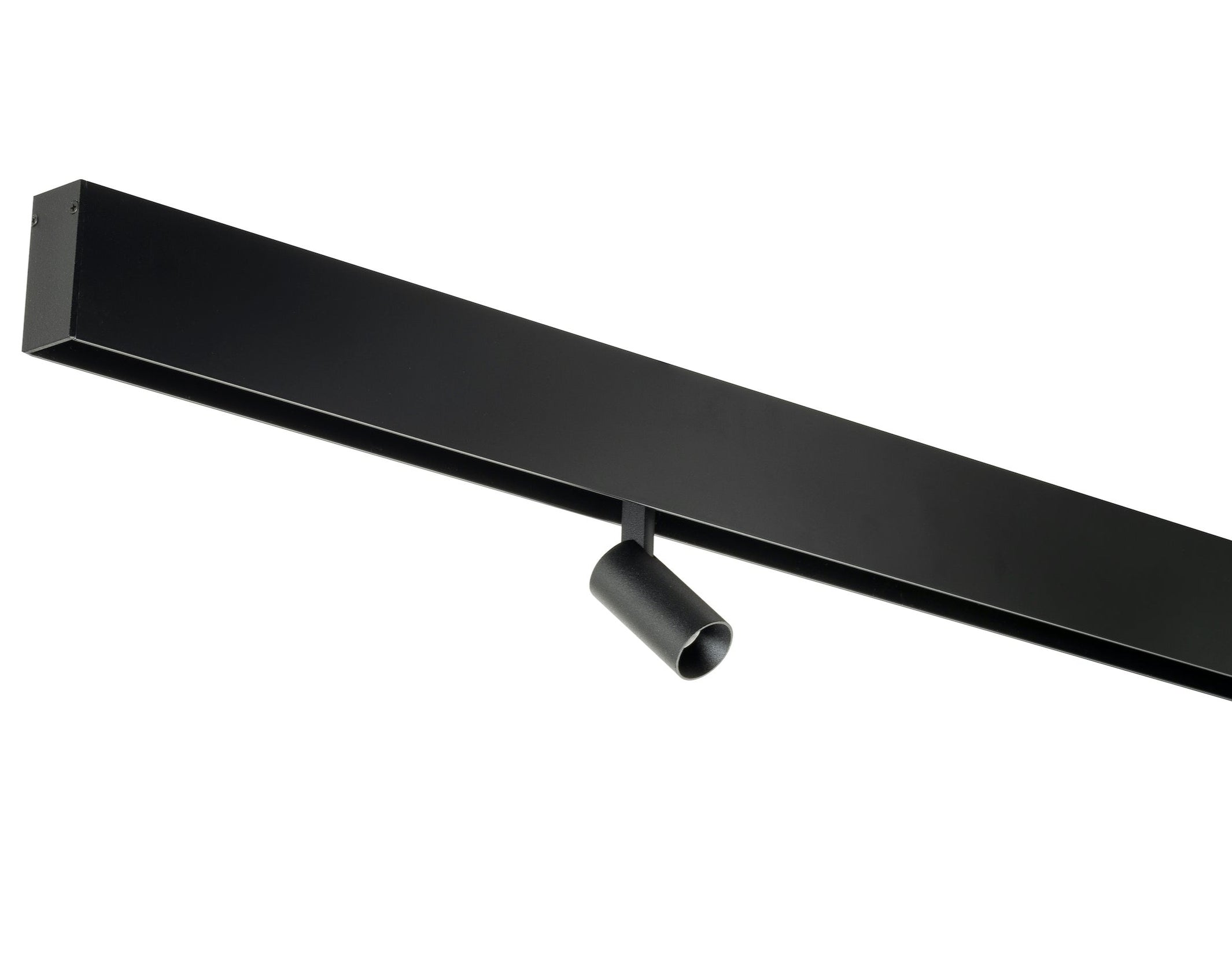 Nemo Gravity Ceiling Light | Inspyer Lighting