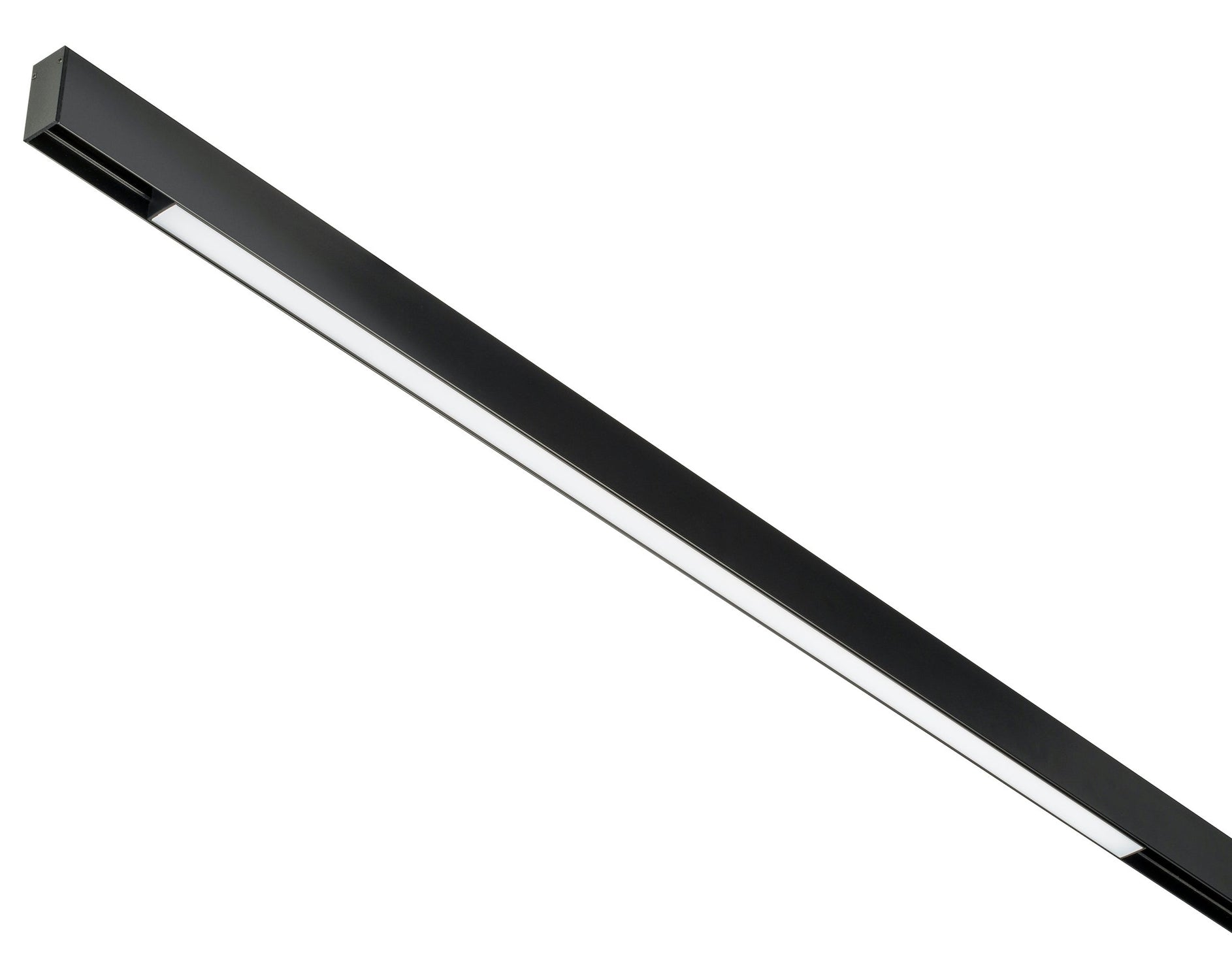 Nemo Gravity Ceiling Light | Inspyer Lighting