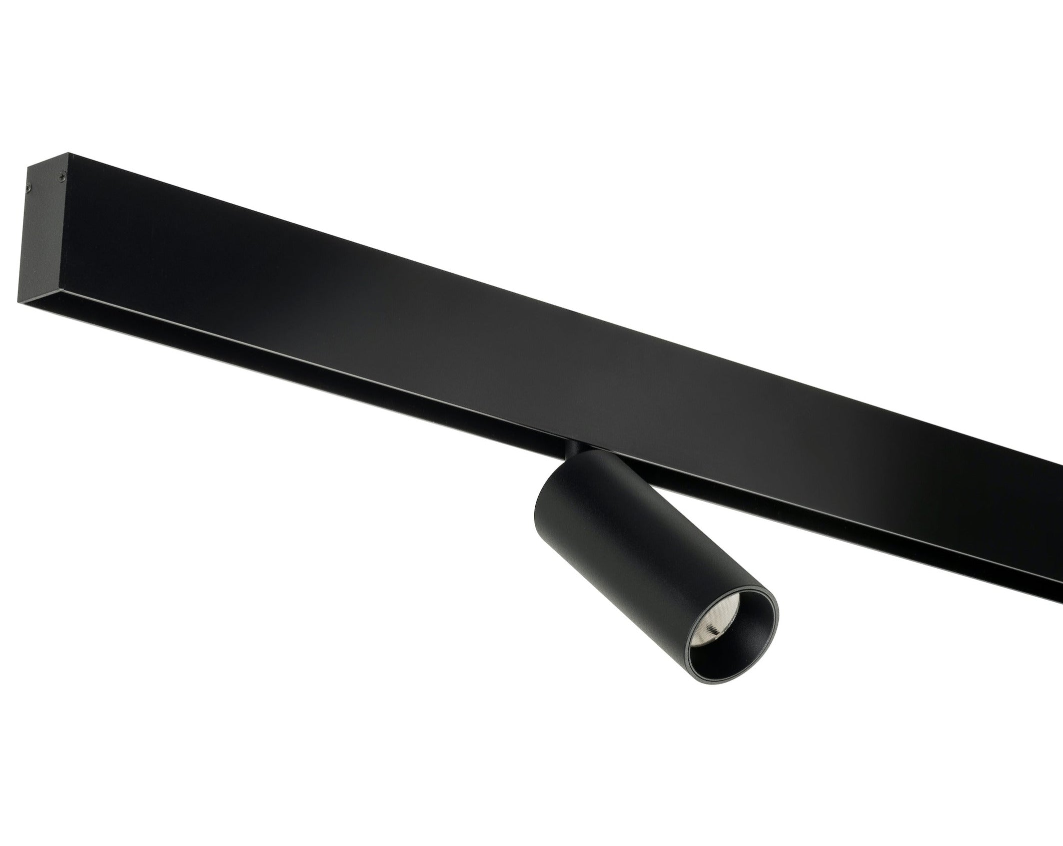 Nemo Gravity Ceiling Light | Inspyer Lighting