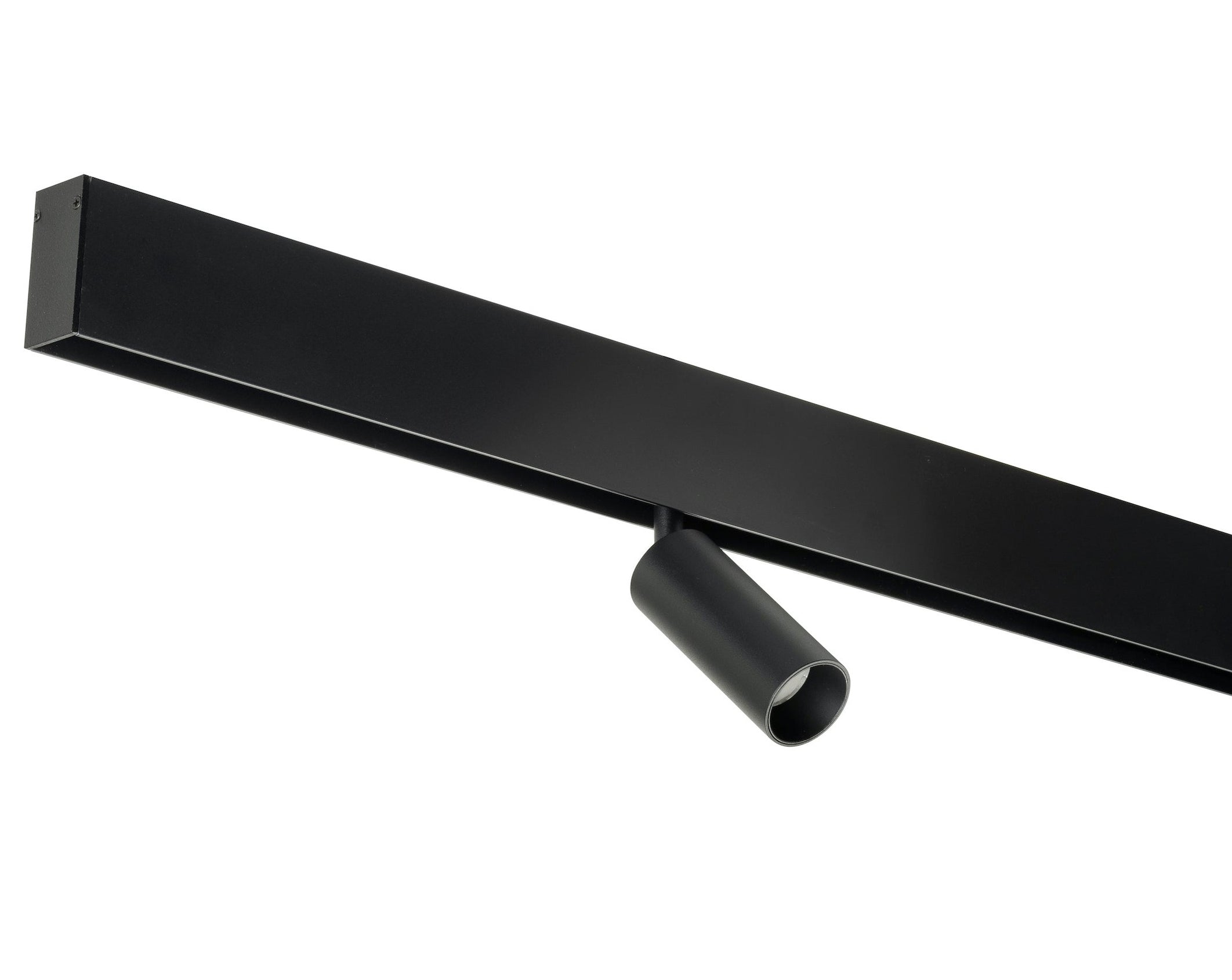 Nemo Gravity Ceiling Light | Inspyer Lighting
