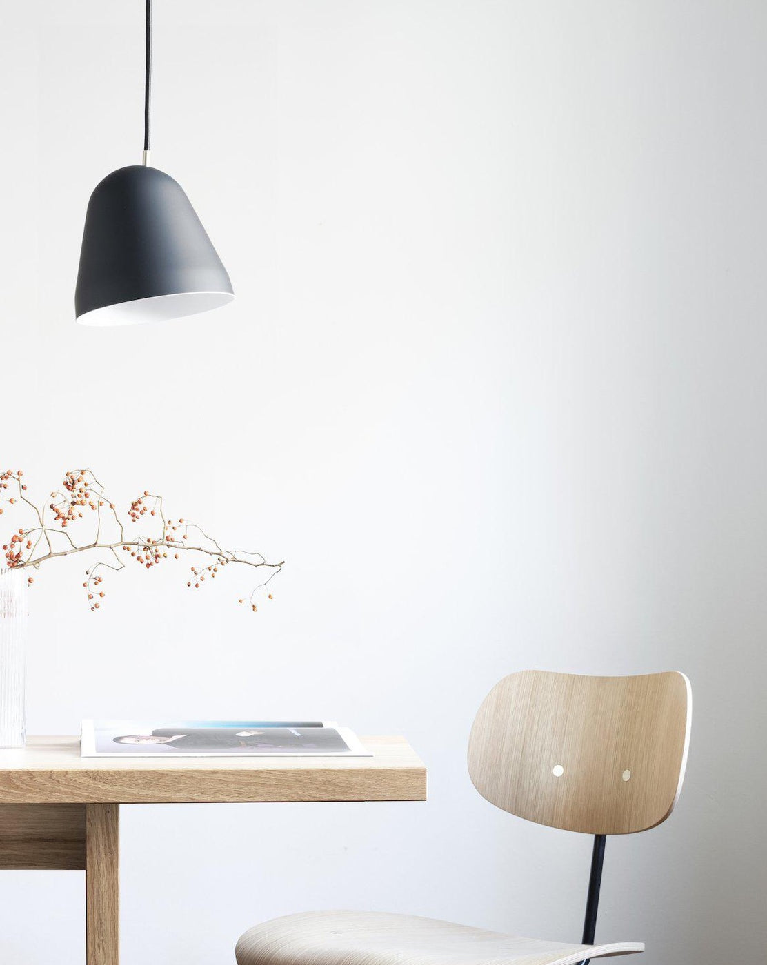 Nyta Tilt S Pendant Light — Inspyer Lighting