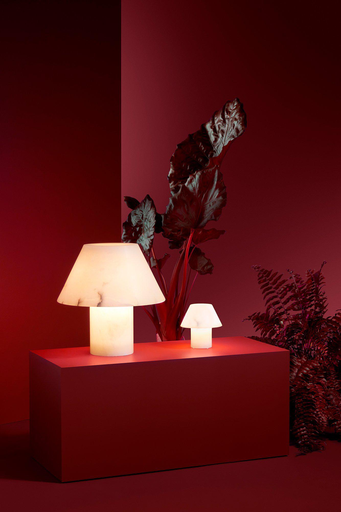Parachilna Petra Table Lamp | Inspyer Lighting