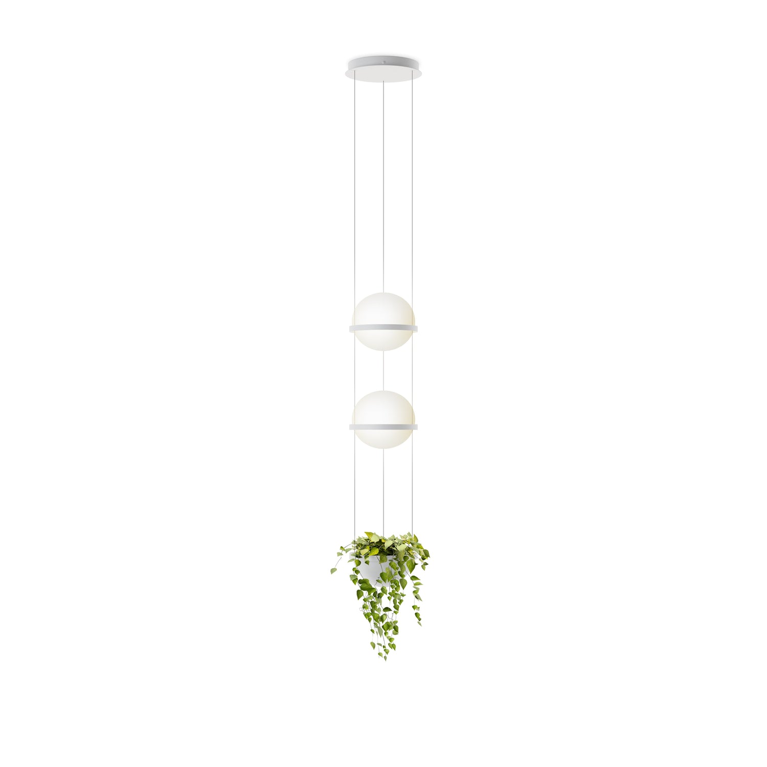 Vibia Palma Suspension Light | Inspyer Lighting