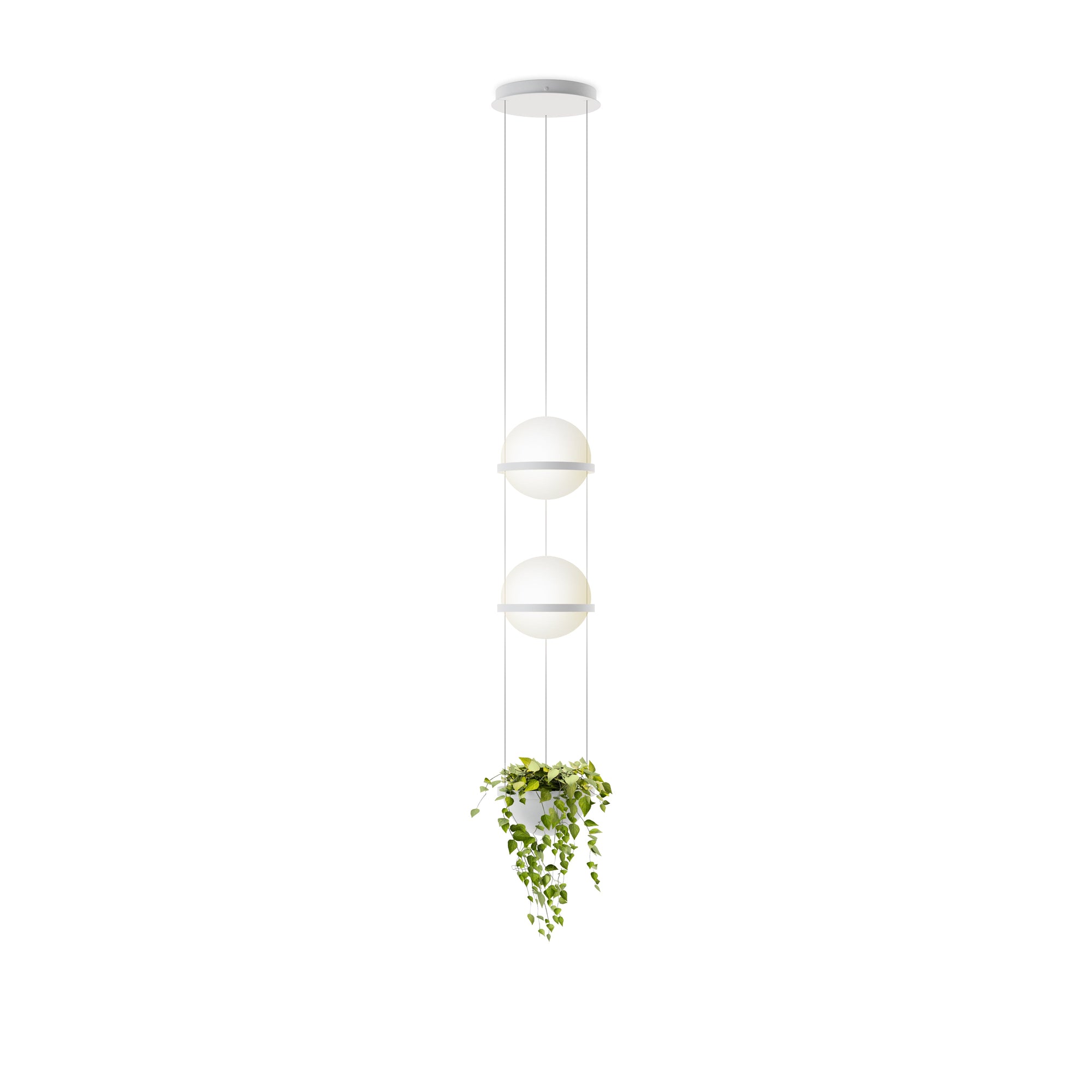Vibia Palma Suspension Light | Inspyer Lighting